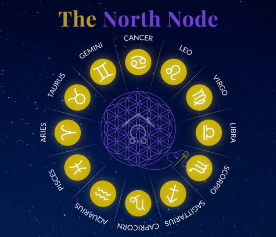 What’s My North Node Sign? [Find Out for FREE] - Astro Seek