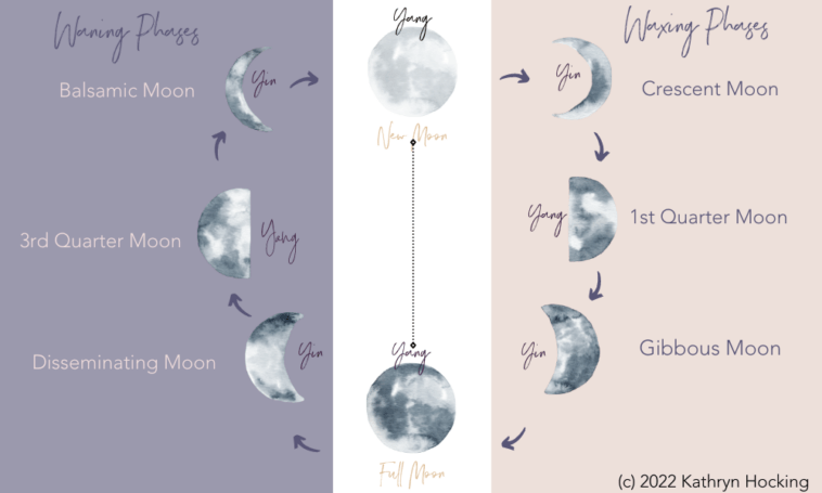 What Moon Phase Was I Born Under? [Birth Moon] - Astro Seek